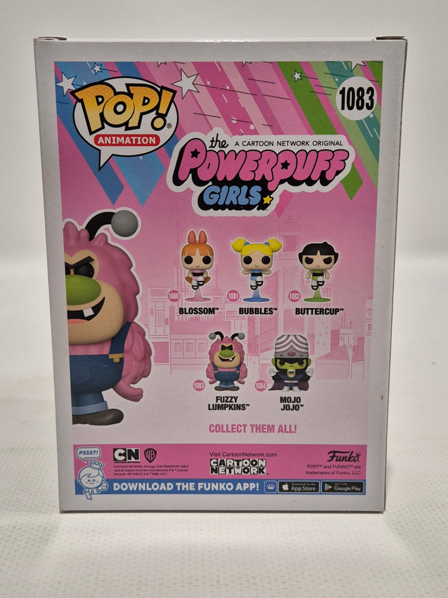 Powerpuff Girls - Fuzzy Lumpkins (1083) – Symbiote Collectibles NZ